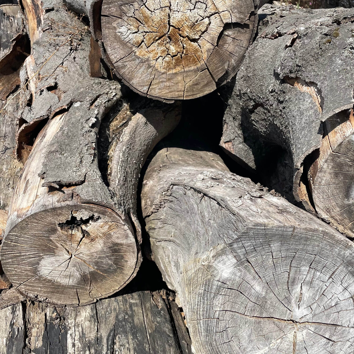 Woodland Blend Large Sack - Log Firewood