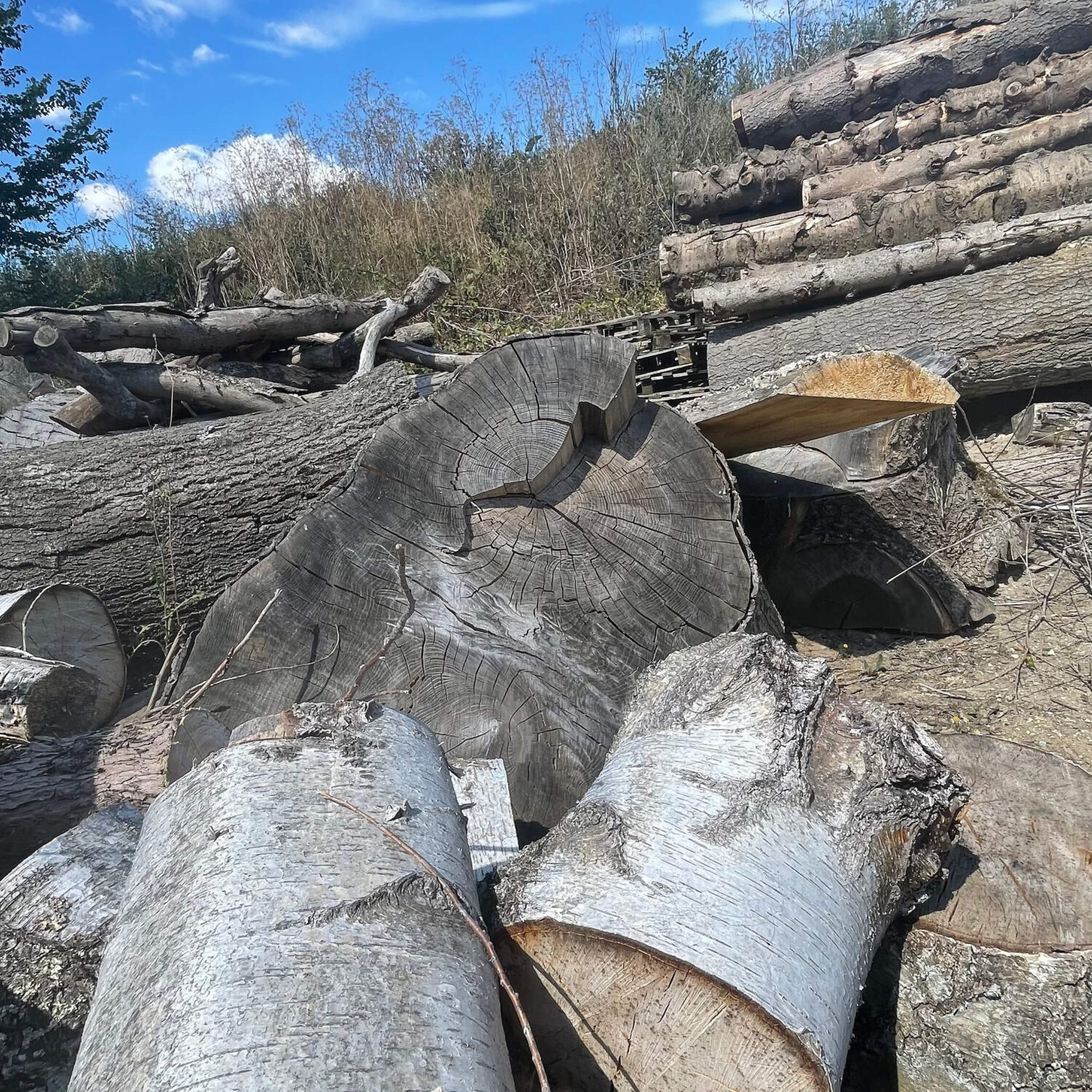 Woodland Blend Large Sack - Log Firewood